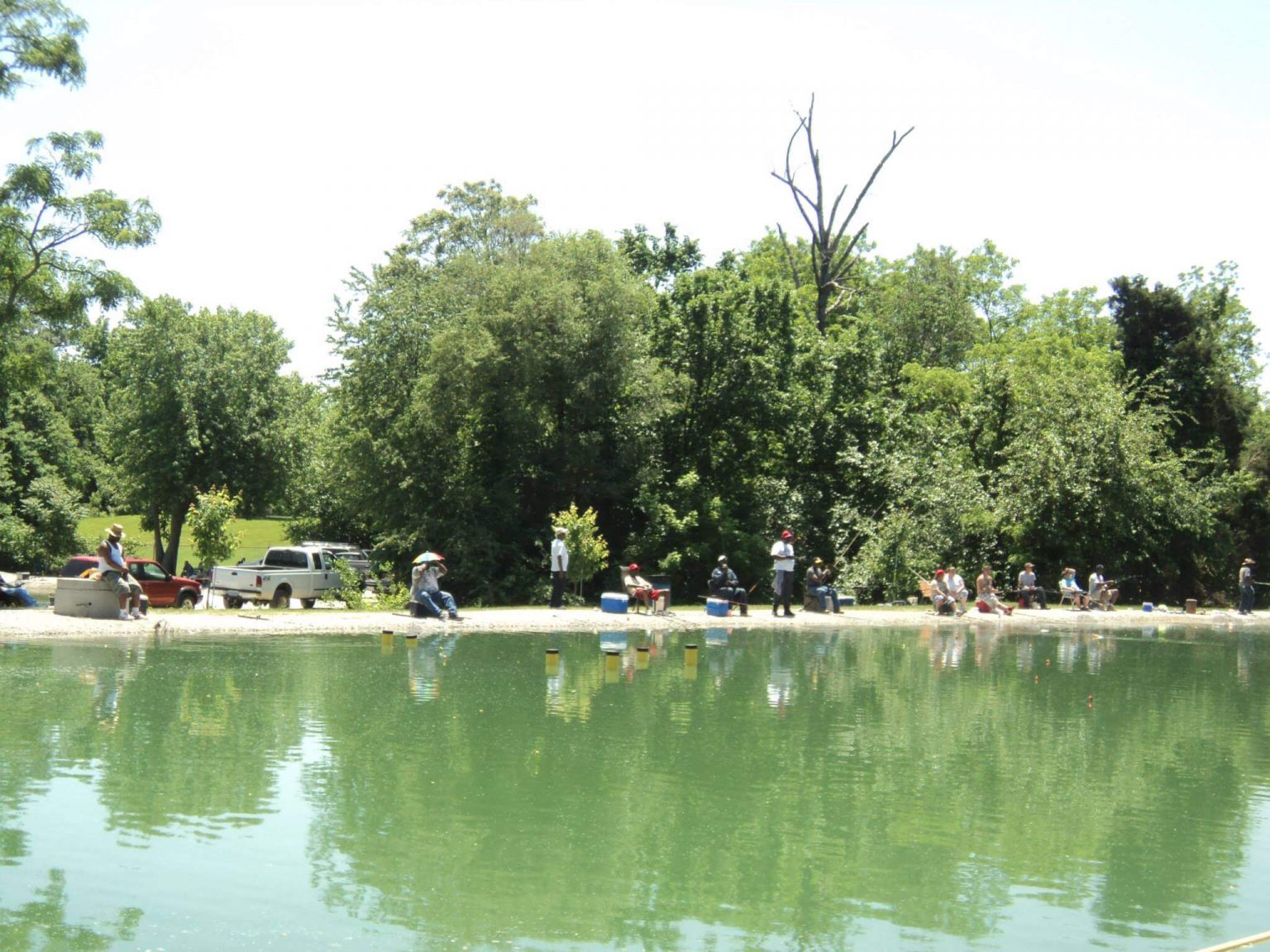 Gallery – Diddles Paylake